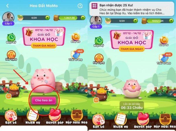 Nuôi heo đất MoMo để làm gì? Cách nuôi heo đất nhanh lớn